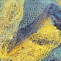 Perineuronal Nets | The Scientist