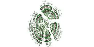 13-Million-Person Family Tree Reveals Stories of Human History | The ...