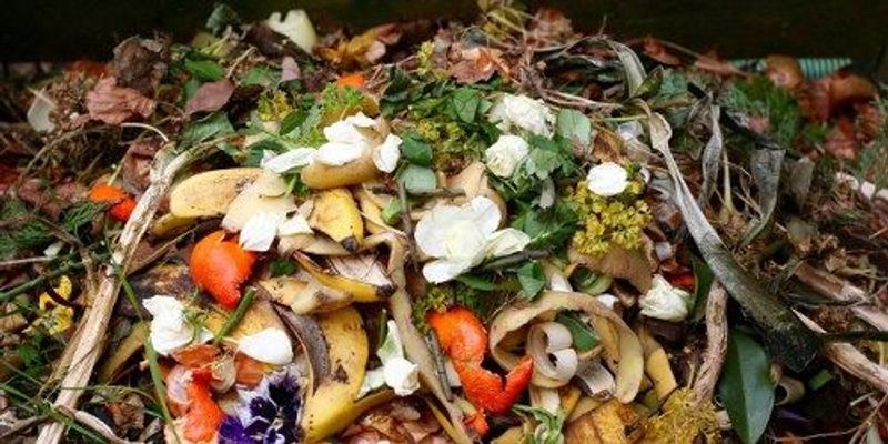 Organic Fertilizers Rife With Microplastics: Study | The Scientist