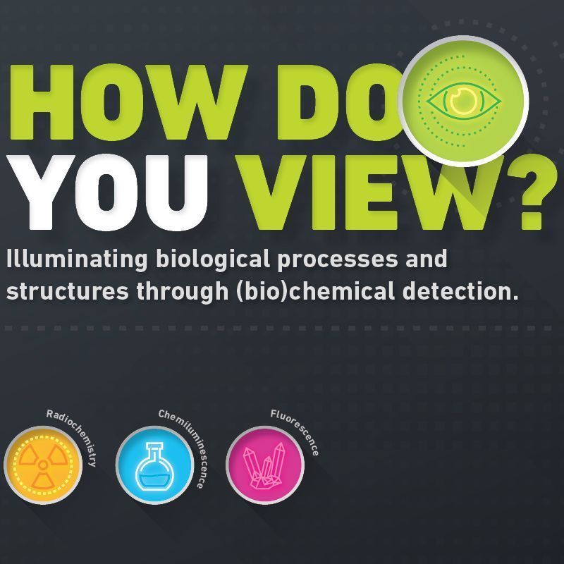 How Do You View? Illuminating Biological Processes and Structures ...