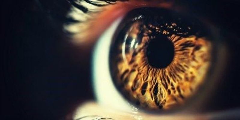 Vision Restored The Latest Technologies To Improve Sight The Vision Restored The Latest Technologies To Improve Sight The