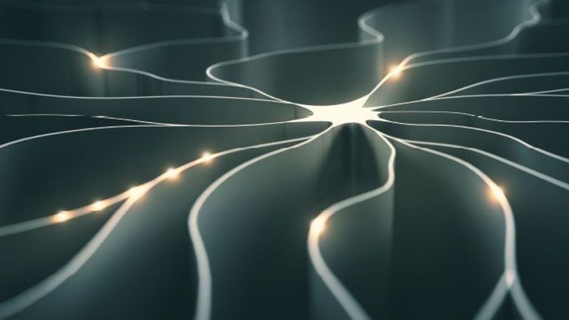 Targeting Sodium Channels for Pain Relief | The Scientist