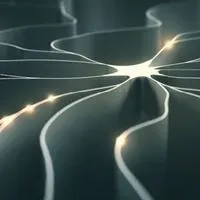 Chronic Pain | The Scientist