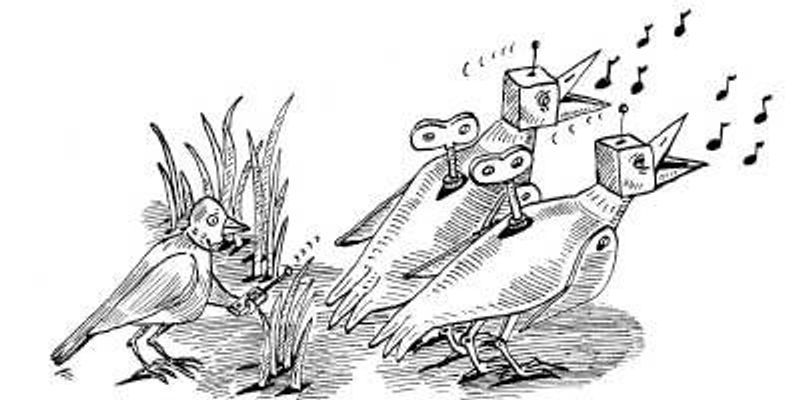 Robotic Birds Help Decode Avian Deception | The Scientist