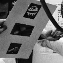 Lateralization | The Scientist