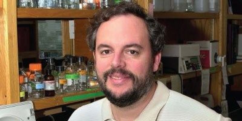 Damage Patroller | The Scientist