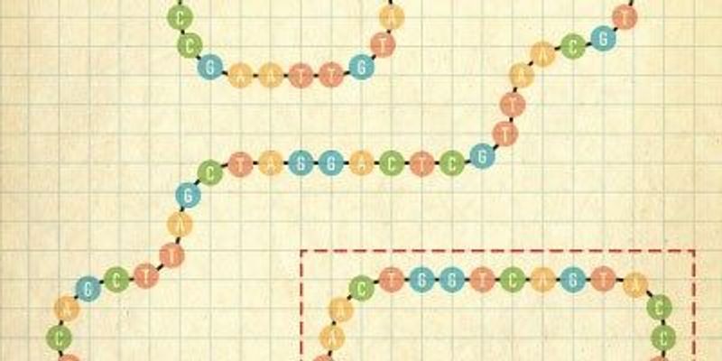 Designer DNA | The Scientist