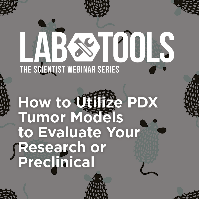 How to Utilize PDX Tumor Models to Evaluate Your Research or ...