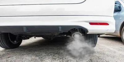 German Carmakers Funded Tests of Diesel Fumes on Monkeys and Humans ...