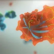 Avacta Group plc Profile | The Scientist