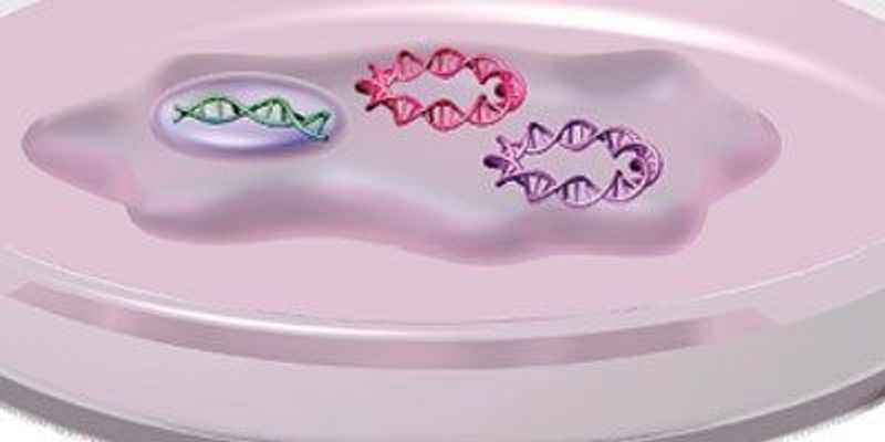 Infographic: Combo Method of Stem Cell Generation | The Scientist