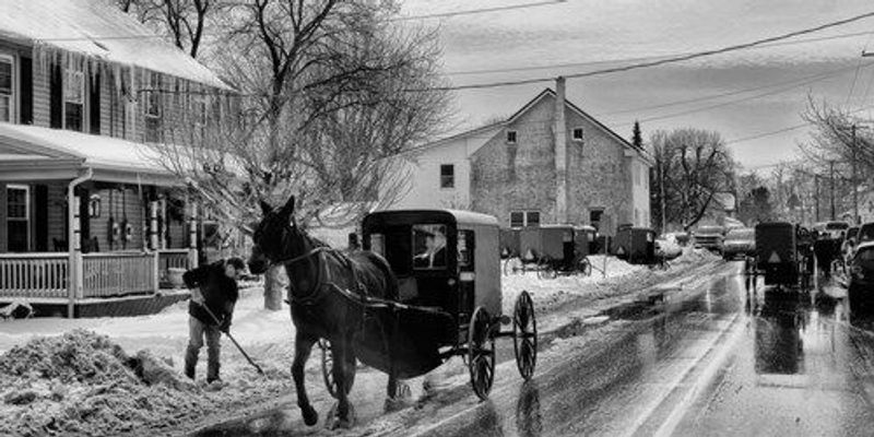 Genetic Mutation in Amish Linked to Longer Life | The Scientist
