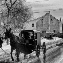 Genetic Mutation in Amish Linked to Longer Life | The Scientist