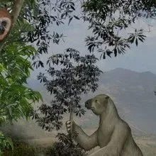 Hunting | The Scientist