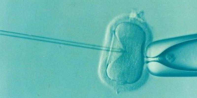 Opinion: Genome Editing of Human Embryos Broadens Ethics Discussions ...