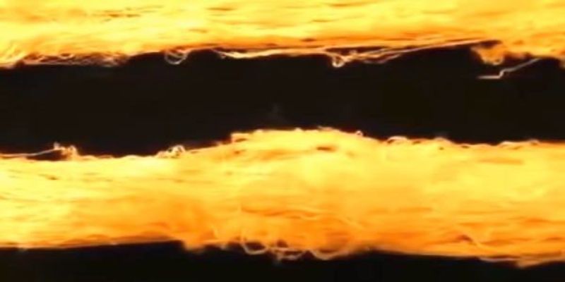 Spider Silk | The Scientist