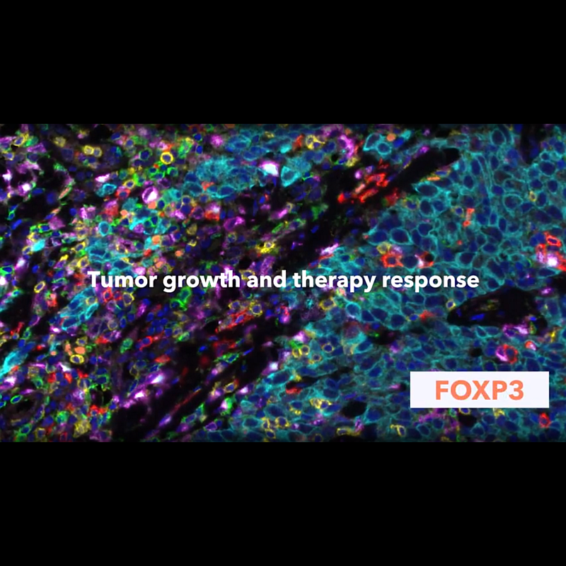 PerkinElmer: Vectra Polaris | The Scientist