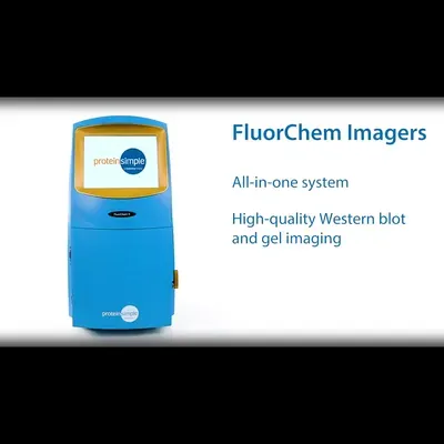 ProteinSimple: FluorChem Imagers for Simplified Western Blot & Gel ...