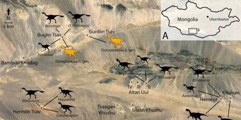 Mongolian Dinosaurs and the Poaching Problem | The Scientist