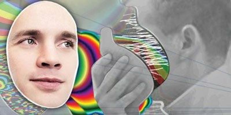 Infographic: The Brain on Psychedelics | The Scientist