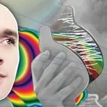 Infographic: The Brain on Psychedelics | The Scientist