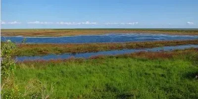 Researchers Advised to Remove Climate Change Language | The Scientist