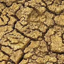 Climate Change Language Deleted from NIH Site | The Scientist