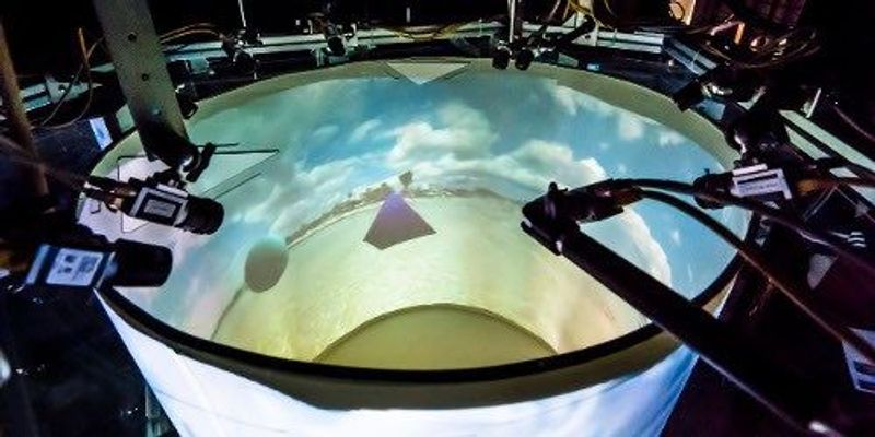 Virtual Reality for Freely Moving Animals | The Scientist