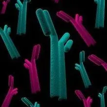 TTP LabTech Profile | The Scientist