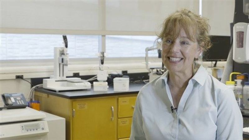 Automating Early Stage Cell Based Assay Development | The Scientist