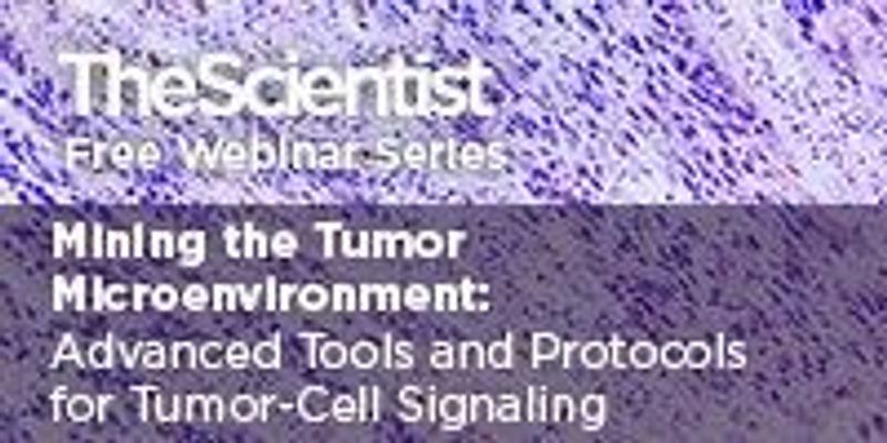Mining the Tumor Microenvironment: Advanced Tools and Protocols for ...