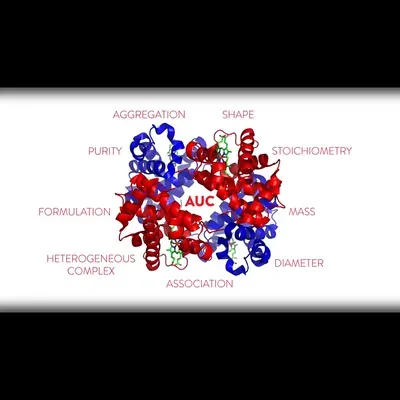 Beckman: Protein Characterization | The Scientist