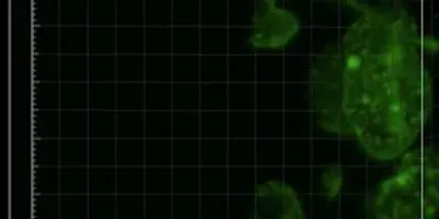 Image of the Day: A Swell Idea | The Scientist