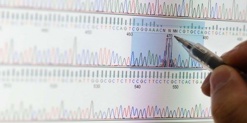The Consequences of Sequencing Healthy People | The Scientist