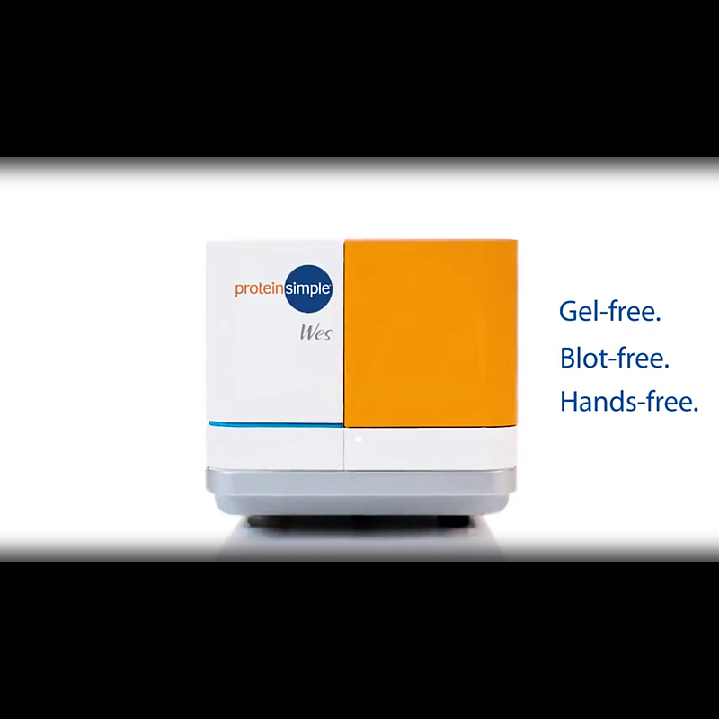 ProteinSimple: Protein Characterization Made Easy | The Scientist