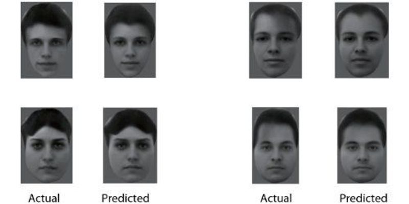 Primates Use Simple Code to Recognize Faces | The Scientist
