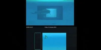 Image of the Day: How To Train Your Dolphin | The Scientist