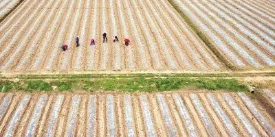 Plastic Pollutants Pervade Water and Land | The Scientist