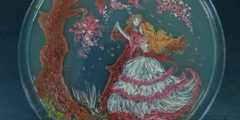 Image of the Day: Beautiful Bacteria | The Scientist