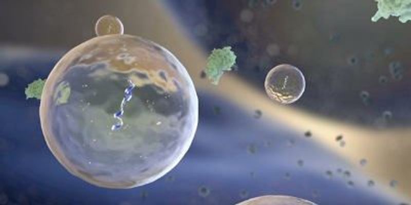 The RNA Age: A Primer | The Scientist