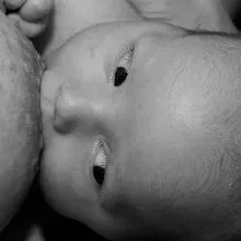 Breast Milk Contributes Significantly to Babies' Bacteria | The Scientist