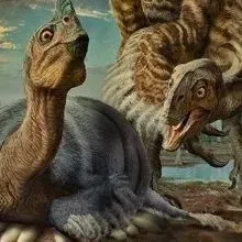 From Smugglers to Scientists: New Dino Species Described | The Scientist