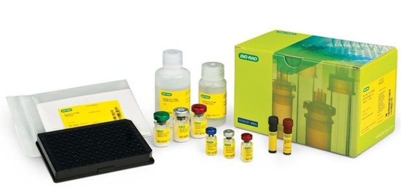 Bio-Rad Expands Its Multiplex Immunoassays | The Scientist