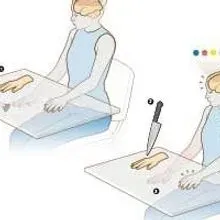 Infographic: The Rubber-Hand Illusion | The Scientist