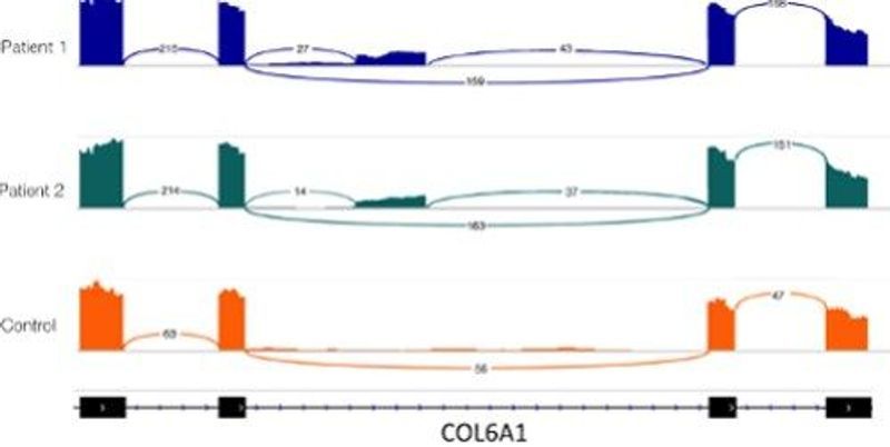 RNA-Seq Reveals Previously Hidden, Genetic Disorder–Causing Mutations ...