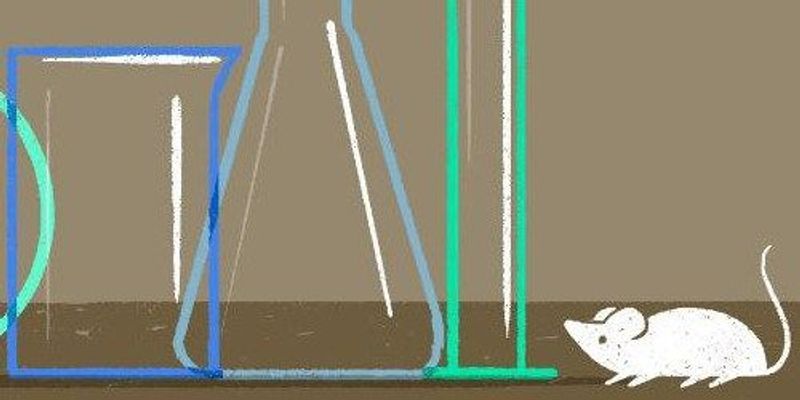 Human Cord Plasma Protein Boosts Cognitive Function in Older Mice | The ...