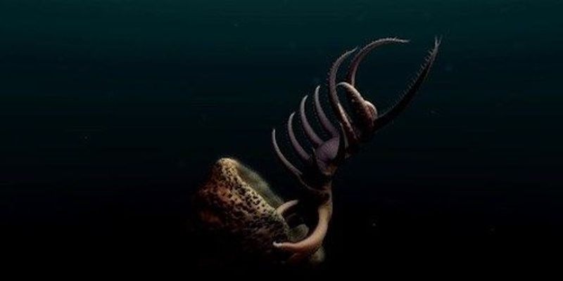 Image of the Day: Ancient Worm | The Scientist