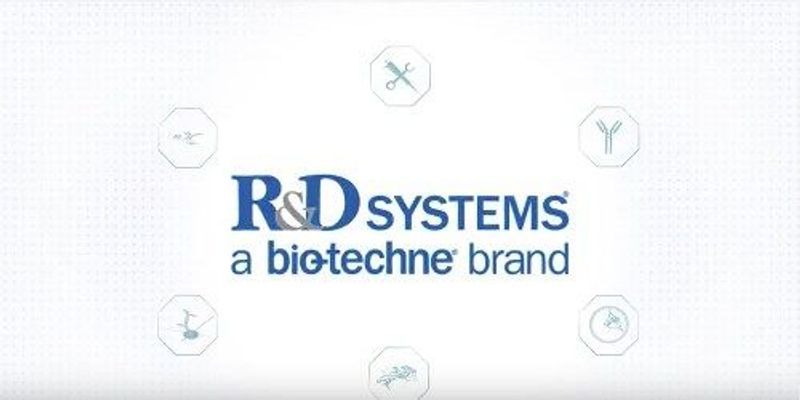 R&D Systems: Custom Services | The Scientist