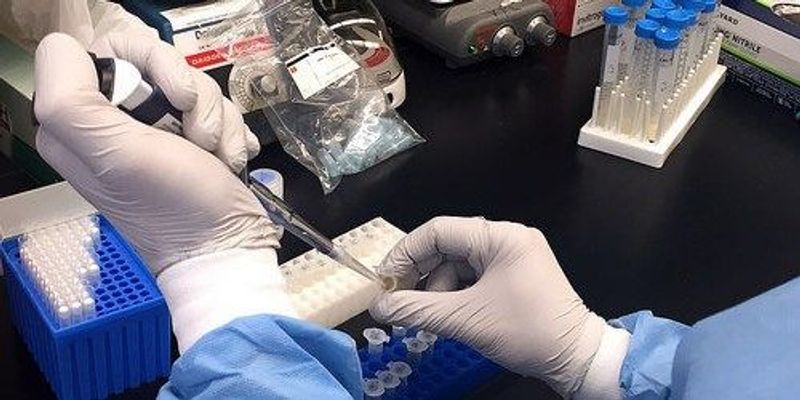 DNA-Based Zika Vaccine Reaches Phase 2 | The Scientist