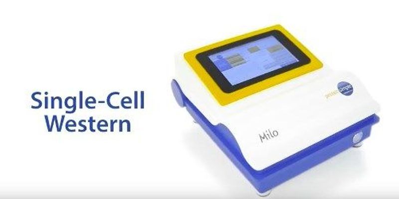 ProteinSimple: Milo: Single-Cell Western | The Scientist